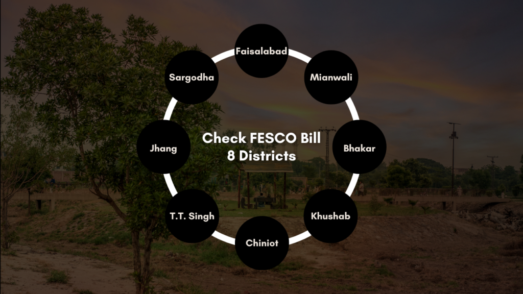 FESCO Online Bill 2025 | FESCO Bill Check Online